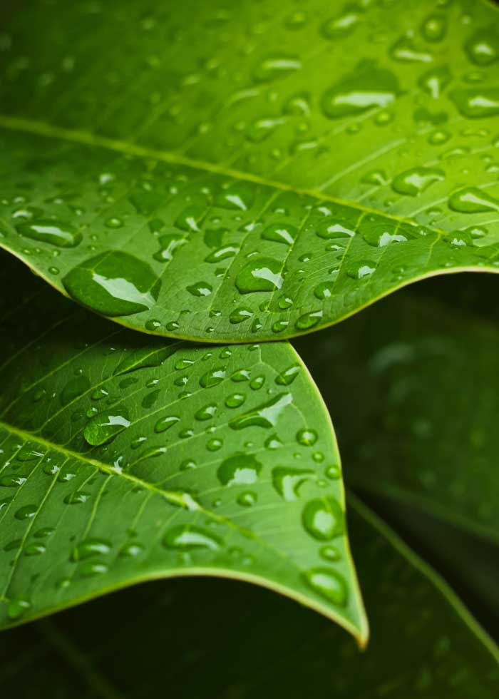 Ecofriendly products » TECNOGI S.p.A.